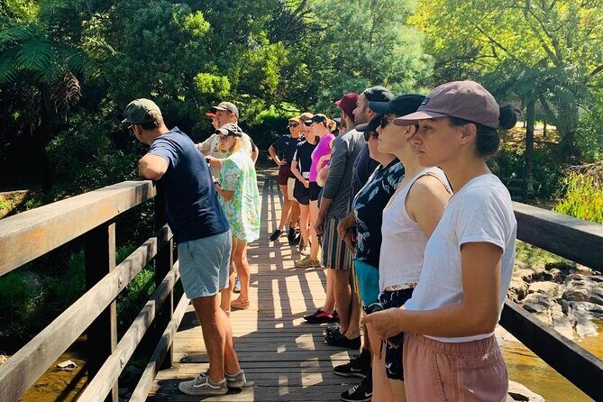 Self-Guided River Sledding Adventure on the Yarra River - The Experience: What You Can Expect