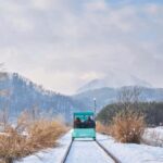 Seoul: Eobi Ice Valley, Alpaca World, Nami Island and More - How Does the Tour Really Stack Up?