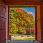 Seoul: Royal Tomb of King Sejong & Icheon Ceramic (EG Tour) - Real-Life Experiences from Travelers