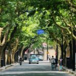 Shanghai: Guided Tour with Soong Ching Ling Memorial Entry - Final Thoughts: Is this Tour Right for You?