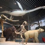 Shanghai: Yu Garden, City God Temple & River Cruise Tour - Evening Serenity: Huangpu River Night Cruise