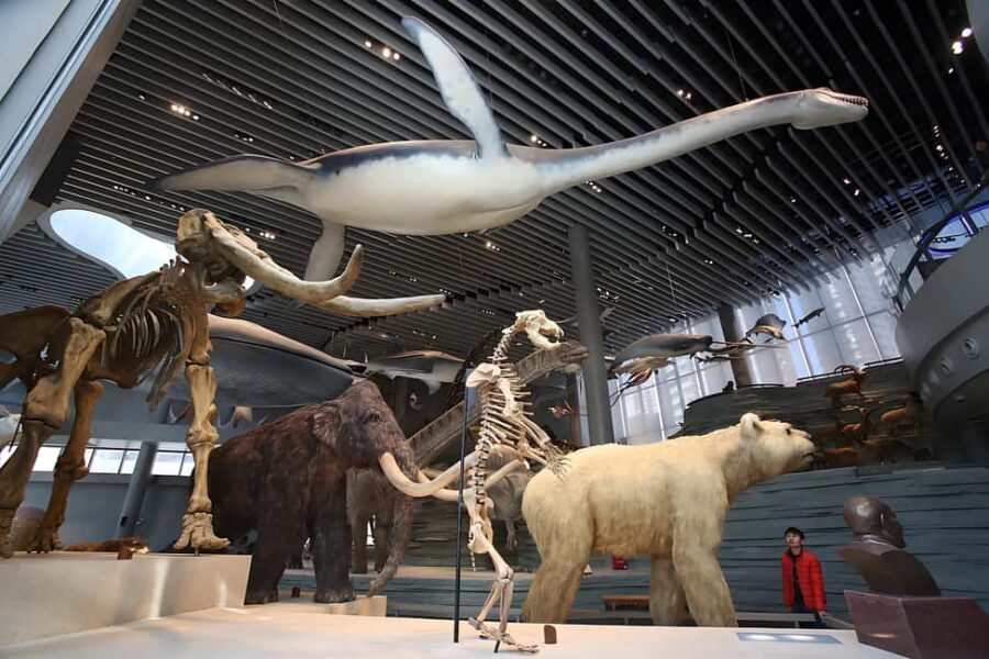 Shanghai: Yu Garden, City God Temple & River Cruise Tour - Evening Serenity: Huangpu River Night Cruise