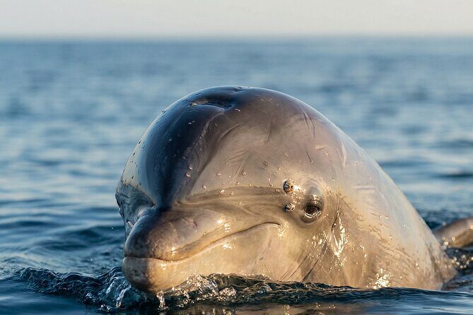 Shared Fiji Experience Rakiraki Tour by Land and Sea - Exploring the Route and Highlights