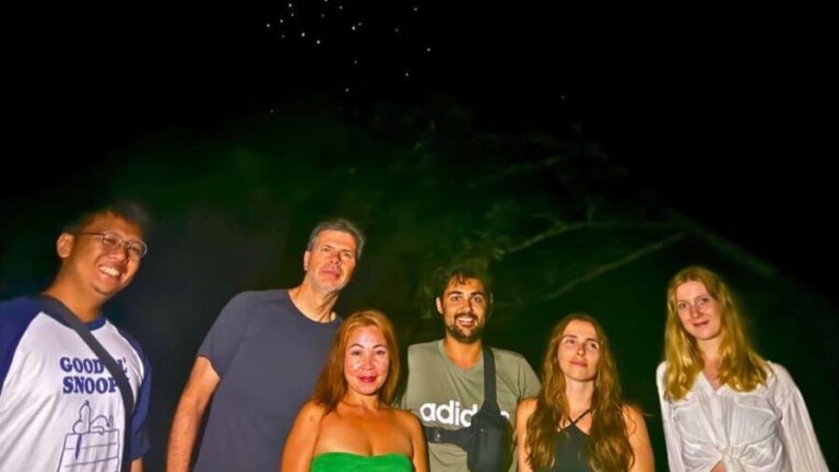 Shared Firefly Watching Cruise on Bohols Scenic Loboc River - Transport and Logistics