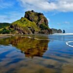 Sheep World and West Auckland Discovery Small Group Day Tour - Lush Rainforests and Waterfalls of the Waitakere Ranges