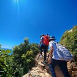 Shenzhen: Guided Hiking Tour with Multiple Routes - The Practicalities: What to Expect