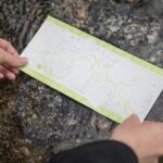 Shimogamo Shrine and Nishiki Market Bus Tour from Kyoto - A Close Look at the Day: What to Expect