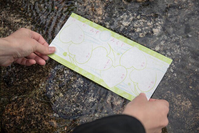 Shimogamo Shrine and Nishiki Market Bus Tour from Kyoto - A Close Look at the Day: What to Expect