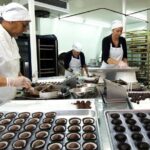 Shore Excursion To Historic Kerikeri Including Lunch - Who Should Consider This Tour?