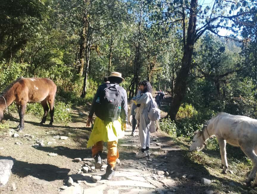 Short Day Trek: Pothana & Australian Camp from Pokhara - Why This Trek Is a Great Choice