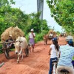 Siem Reap: Private Mystery Temple Countryside Tour By Jeep - What’s Included and How It Works