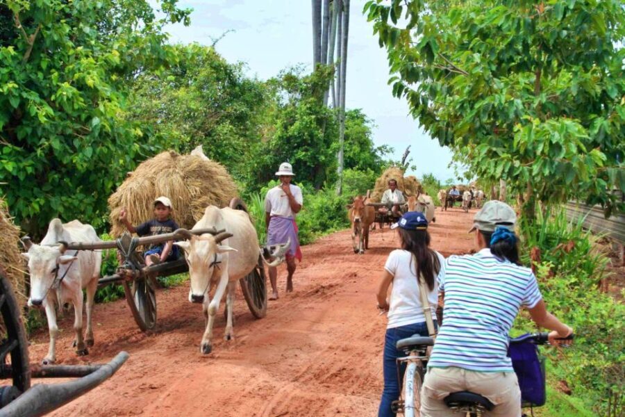 Siem Reap: Private Mystery Temple Countryside Tour By Jeep - What’s Included and How It Works