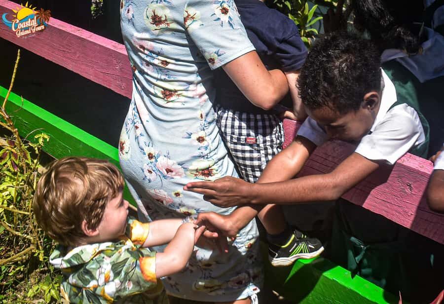 Sigatoka: River Cruise and Salad Bowl Valley Tour - Is This Tour Worth the Price?