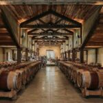 Signature Wine Tour Napier 4 Wineries Cheese and Luxury Vehicle - Final Thoughts