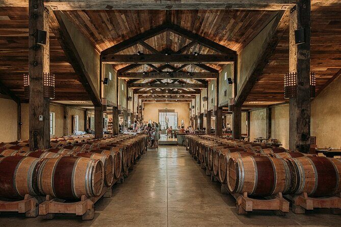 Signature Wine Tour Napier 4 Wineries Cheese and Luxury Vehicle - Final Thoughts