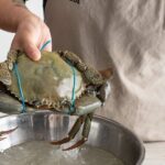 Singapore Chilli Mud Crab Cooking Class - What Makes This Tour Special?
