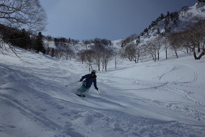 Ski lesson around KARUIZAWA - Why Choose This Ski Lesson in Karuizawa?