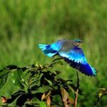 Skip The Line : Nahargarh Biological Park Tour, Jaipur - What We Loved About This Tour