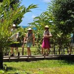 Small Group Shared Half Day Tahiti Tour Waterfalls&Scenic Coast - The Transportation and Group Dynamic