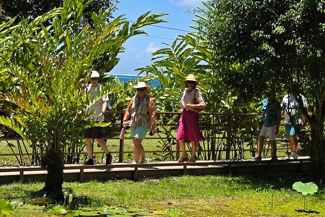 Small Group Shared Half Day Tahiti Tour Waterfalls&Scenic Coast - The Transportation and Group Dynamic