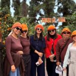 Small Group Tour for Jeju Fall Pink Muhly, Tangerines & Mt. Halla - Value and Practicalities