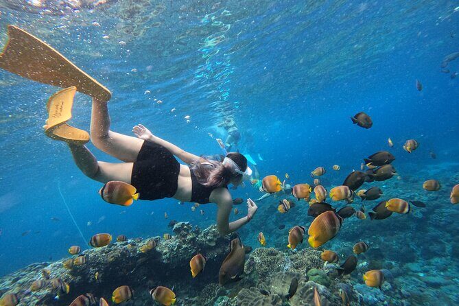 Snorkeling Day Trip To Lembongan and Penida - What Travelers Say