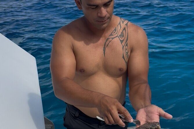 Snorkeling Discovery DE the Black Pearl and Lunch in Bora Bora - Whats Included and Practical Details