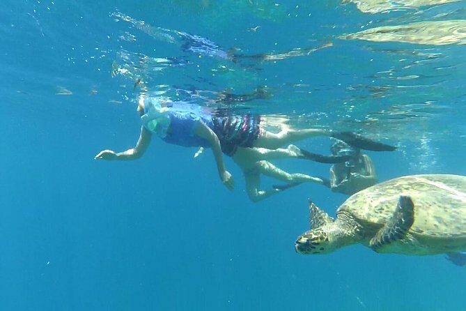 Snorkeling with Turtles on Gili Trawangan - Final Thoughts