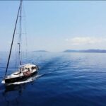 South Molle Island Whitsundays: ideal for cruise ships - The Experience Behind the Scenes: What Makes It Special