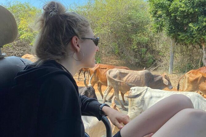 Special Leopards Safari Yala National Park - 04:30 AM to 11:30 AM - Who Should Consider This Tour?