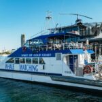 Spirit of Gold Coast 2.5-Hour Whale Watching Tour - Authentic Encounters & Reviews
