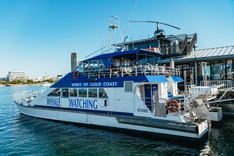 Spirit of Gold Coast 2.5-Hour Whale Watching Tour - Authentic Encounters & Reviews