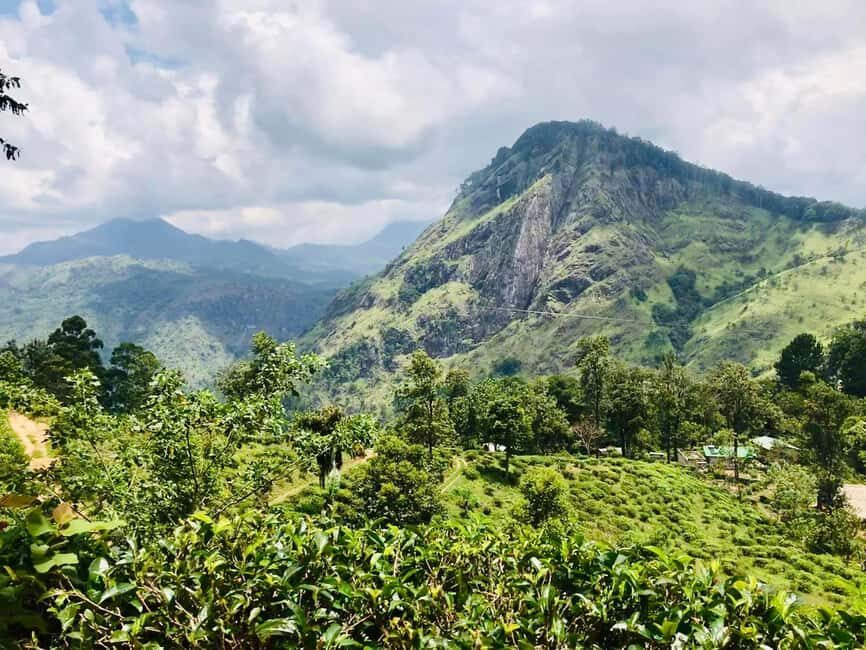 Sri Lanka 3-day Private Tour: Kandy, Nuwara Eliya, Ella - What Travelers Can Expect: Logistics and Value