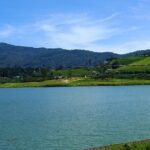 Sri lanka 4 Days Sightseeing Tour - What Makes This Tour Stand Out?