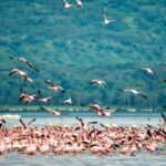 Sri Lanka 5-Day Private Local Experince Tour - Who This Tour Is Perfect For