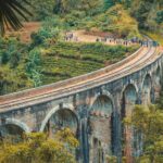 Sri Lanka 5 Day tour Best Nature and Culture include top hotels - What We Think About This Tour’s Value