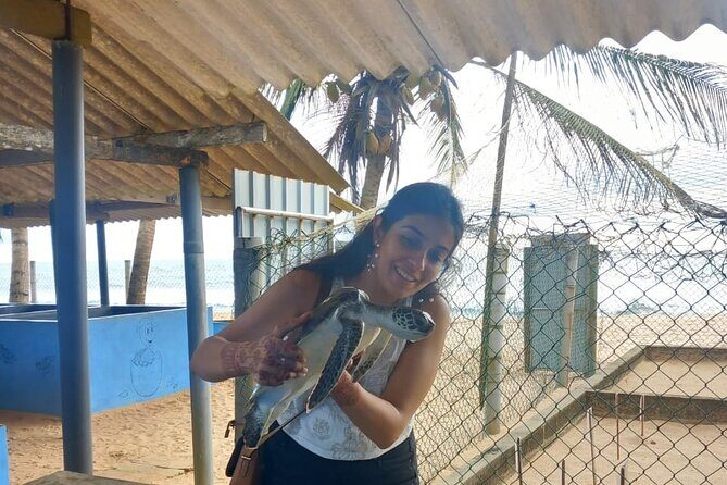 Sri Lanka Car and Driver Hire - User Experience and Feedback