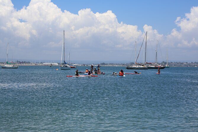 Stand Up Paddle Board Lesson in Mount Maunganui - What Past Participants Say