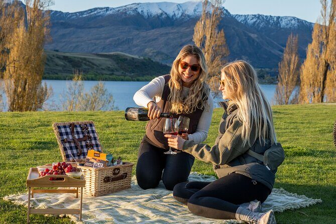 Standard Mystery Picnic Adventure in Queenstown - Who Would Love This Experience?