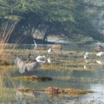Sultanpur Bird Sanctuary: 2-Day Tour from Delhi - Evaluating the Value and Price
