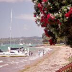 Sundowner Evening Cruise - 2 hour evening sailing cruise with swim stop - Authentic Experiences from Reviews