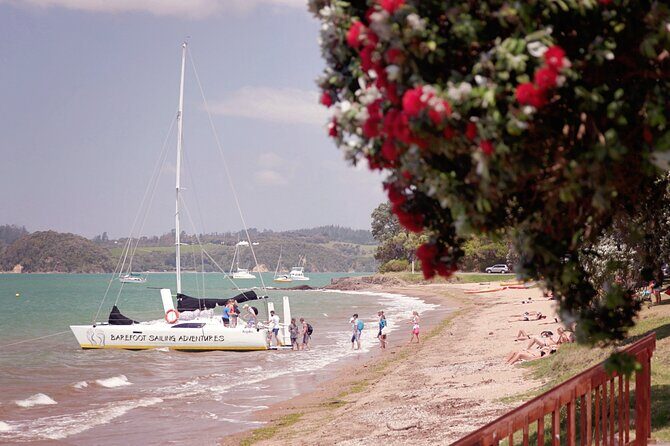 Sundowner Evening Cruise - 2 hour evening sailing cruise with swim stop - Authentic Experiences from Reviews