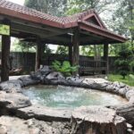 Sungkai Hot Springs & Nature Park Tour from Kuala Lumpur - The Itinerary: A Well-Structured Day in Nature