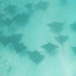 Sunset tour on a unique polynesian sailing outrigger - Why This Tour May Be a Great Fit