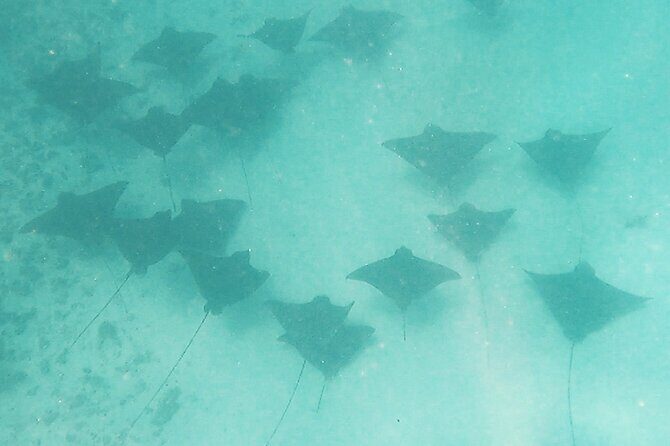 Sunset tour on a unique polynesian sailing outrigger - Why This Tour May Be a Great Fit