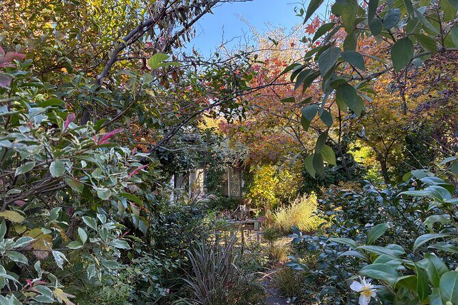 Sushi Making in a Century Old Kamakura Home - Who Should Consider This Tour?