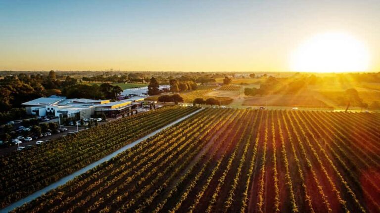 Swan Valley: Mandoon Estate Cellar Door Wine & Canape Flight - How Does it Compare to Other Experiences?
