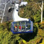 Sydney: Blue Mountains Half Day Scenic World & Lookout Tour - What Makes This Tour Special?