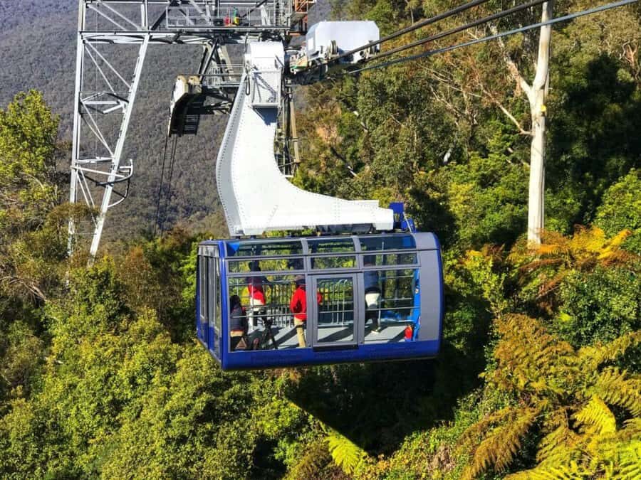 Sydney: Blue Mountains Half Day Scenic World & Lookout Tour - What Makes This Tour Special?