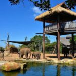 Sydney: Featherdale Park & Sydney Zoo Day Tour - FAQs